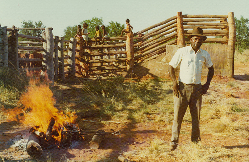 Gurindji stockman
